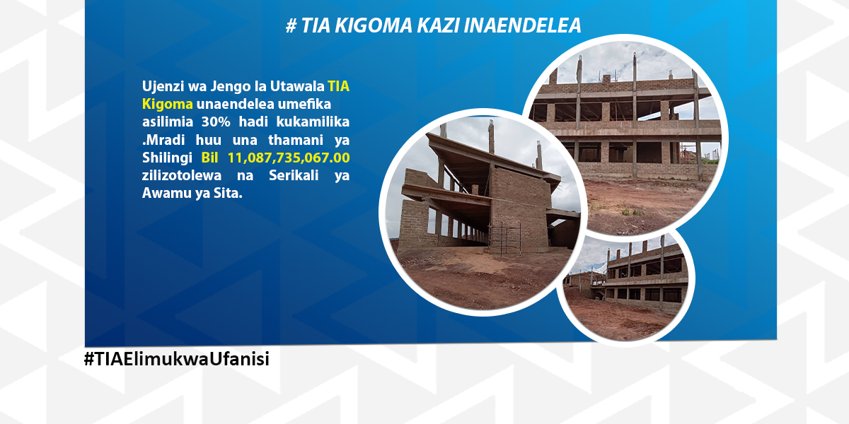 TANZANIA INSTITUTE OF ACCOUNTANCY (TIA) | TIA|ACCOUNTING|PROCUREMENT ...