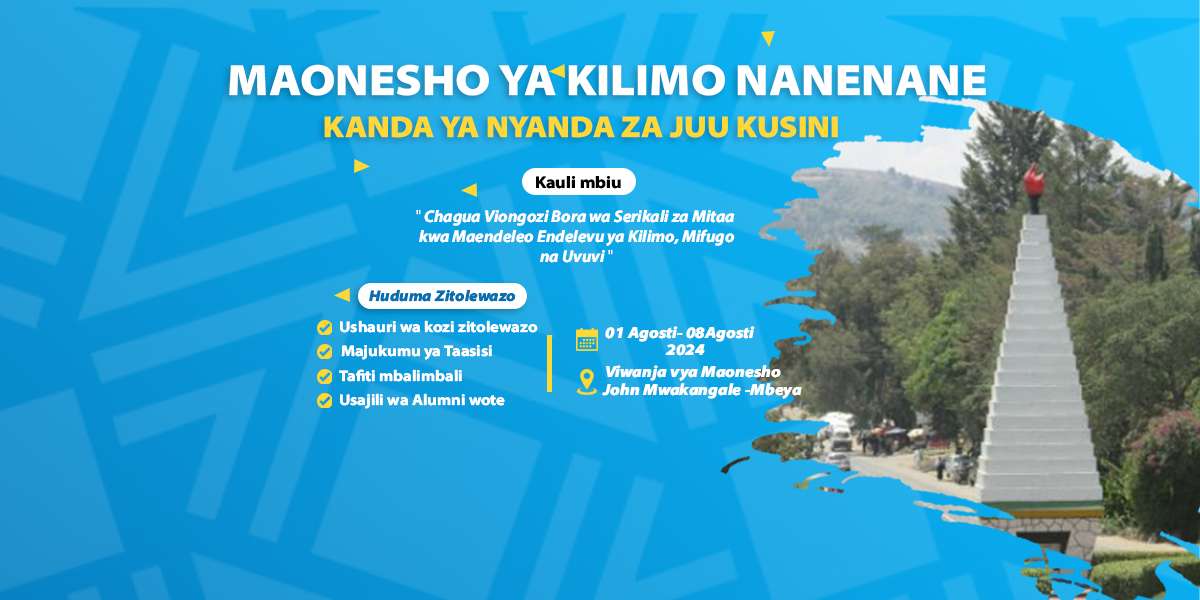 TANZANIA INSTITUTE OF ACCOUNTANCY (TIA) | TIA|ACCOUNTING|PROCUREMENT ...